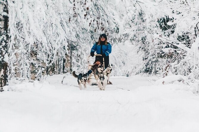 Apukka Husky Adventure in Rovaniemi - What to Expect on the Husky Adventure