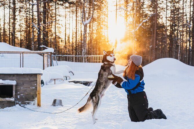 Apukka Husky Adventure in Rovaniemi - Who is This Tour Best For?