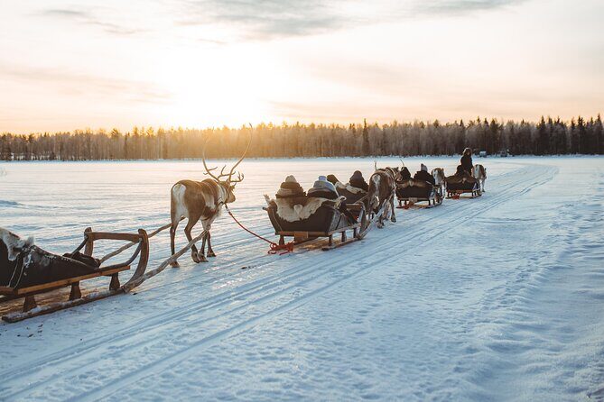 Apukka Reindeer Journey - The Transportation & Group Size