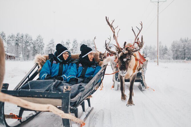 Apukka Reindeer Journey - Authenticity and Cultural Insights