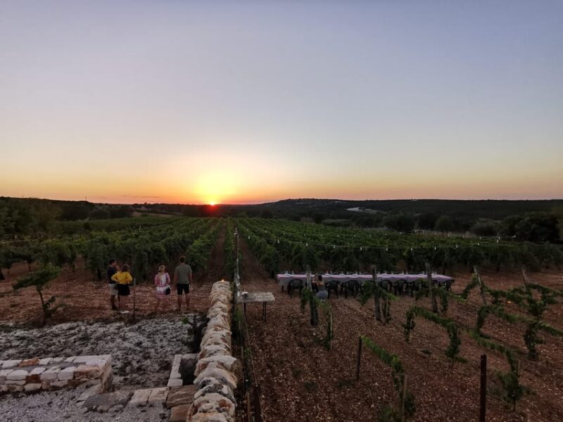 Apulia: Guided Wine Tasting with Local Appetizers - Key Points