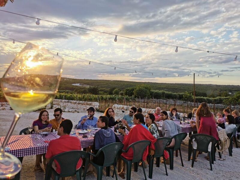 Apulia: Guided Wine Tasting with Local Appetizers - The Experience Itself: A Detailed Look