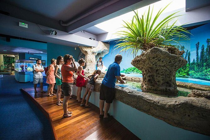 Aquarium Package in Nouméa's with Admission with Hop-on Hop-Off - A Closer Look at the Aquarium Experience