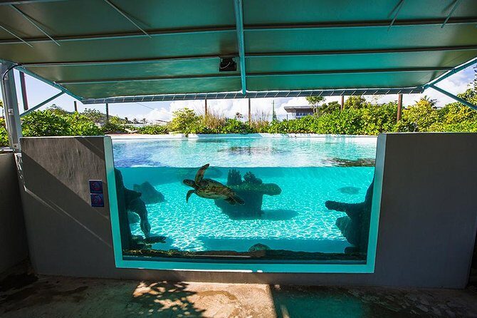 Aquarium Package in Nouméa's with Admission with Hop-on Hop-Off - FAQ