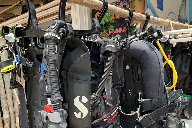 Aquatic Wonderland: Discover Meso's Magic" - Equipment and Comfort