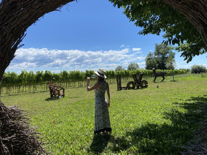Aquileia: Winery Tour and Tasting - Key Points