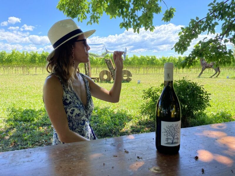 Aquileia: Winery Tour and Tasting - Who Will Love This Tour?