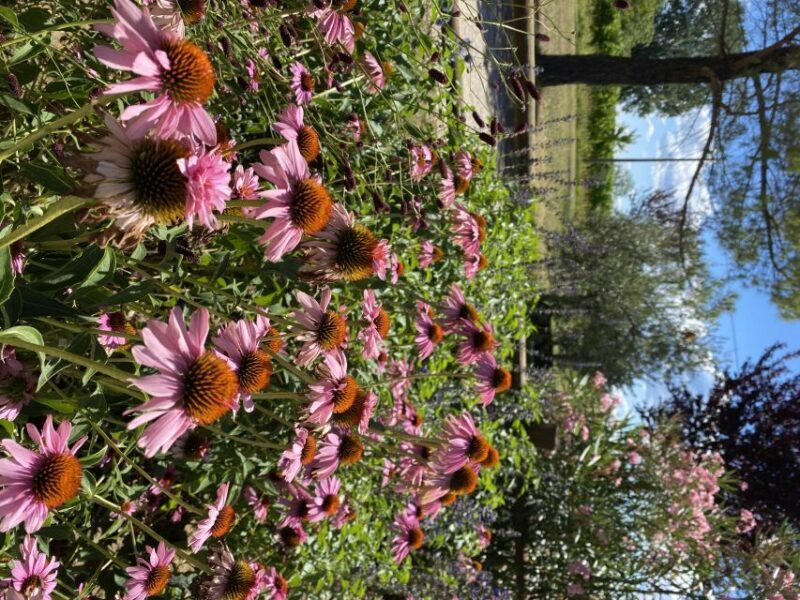 Aquileia: Winery Tour and Tasting - The Sum Up