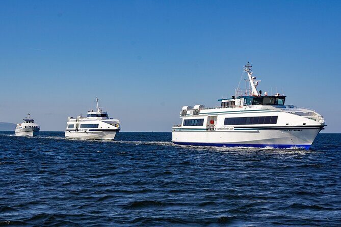 Aran Islands and Cliffs of Moher Day Cruise sailing from Galway City Docks - An In-Depth Look at the Experience