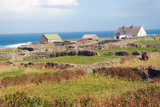 Aran Islands Bike Tour with Tea and Scones from Galway - Key Points