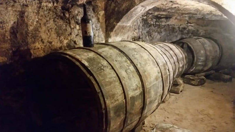 Aranda de Duero: Guided and Dramatized Visit to Medieval Wi - Introducing the Aranda de Duero Medieval Winery Tour