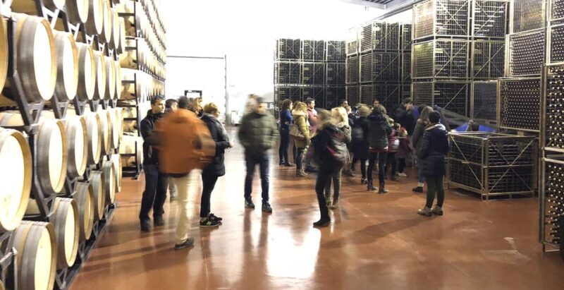 Aranda de Duero: Martín Berdugo Winery - Tour and Tasting - Who Should Consider This Tour?