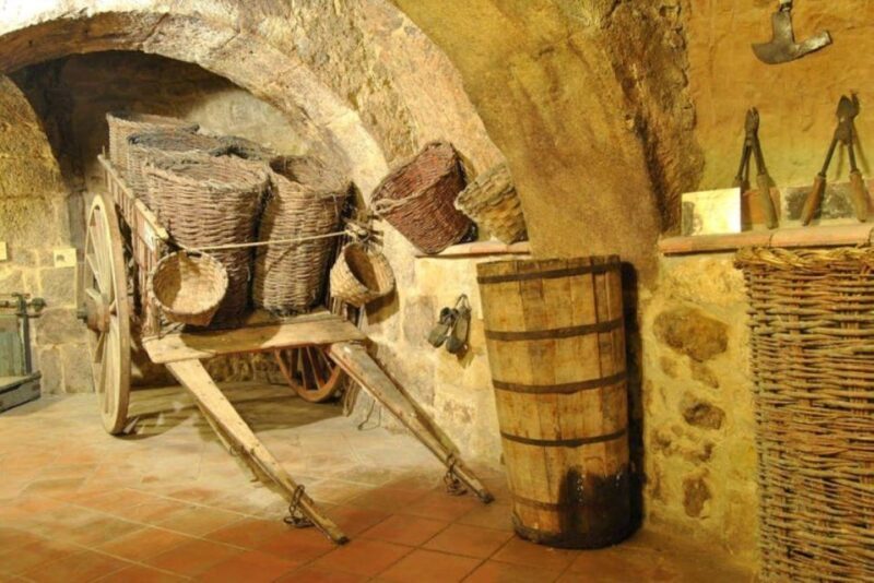 Aranda de Duero: Tour of Underground Cellar and Wine Museum - The Tasting Experience: Simple but Effective