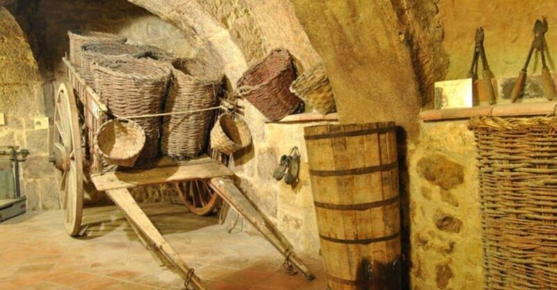 Aranda de Duero: Tour of Underground Cellar and Wine Museum - Group Size and Atmosphere