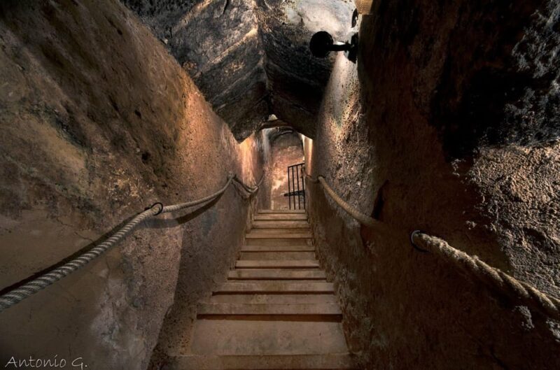 Aranda de Duero: Wine Tasting Course with Iberian Tasting - What to Expect from the Tour