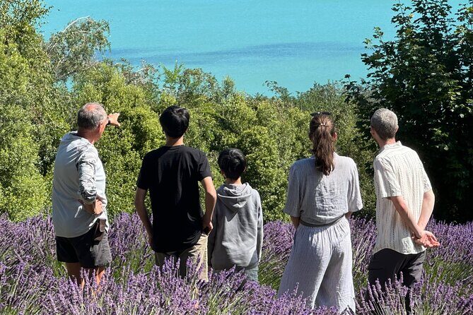 Arataki Conservation - our Journey to Protect our Whenua (land) - Exploring Arataki Conservation: Our Review of the Journey to Protect Whenua