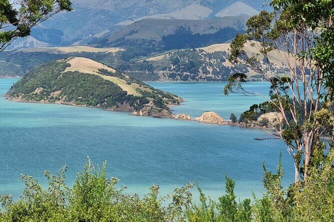 Arataki Conservation - our Journey to Protect our Whenua (land) - Key Points