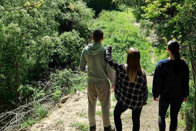 Arataki Conservation - our Journey to Protect our Whenua (land) - Frequently Asked Questions