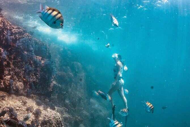 Arch Boat Tour and Snorkeling at Pelican Rock - The Sum Up: Is It Worth It?