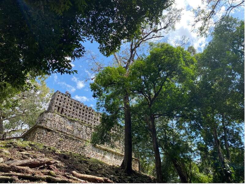 Archaeological Zones Yaxchilan & Bonampak - A Practical Deep Dive into the Yaxchilan & Bonampak Experience