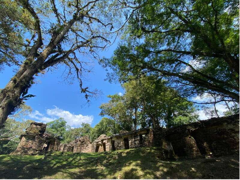 Archaeological Zones Yaxchilan & Bonampak - Who Should Consider This Tour?