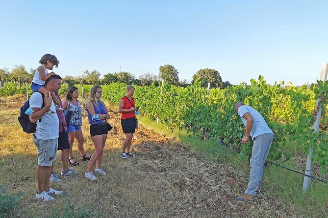 Archeology, visit to a vineyard and wine and pecorino cheese tasting - Who is This Tour Best For?  