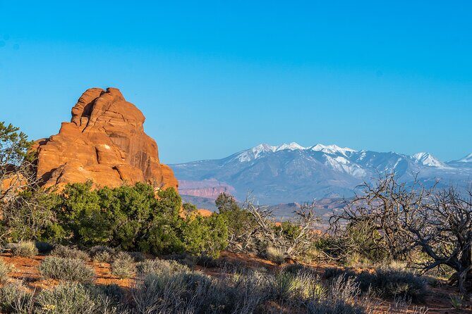 Arches National Park Half Day Tour - An In-Depth Look at the Arches National Park Half Day Tour