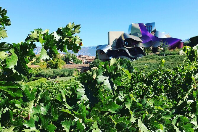 Architectural Rioja Small Group Wine Tour with Lunch from Bilbao - The Sum Up