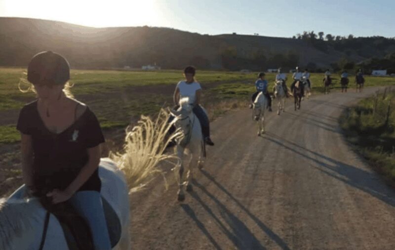 Arcos de la Frontera: Horseback Riding Experience - The Value and Cost Considerations