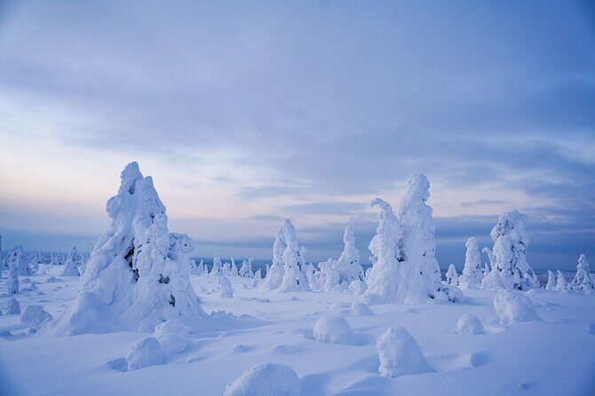 Arctic Adventure through Magical Frozen Forests of Riisitunturi - Key Points