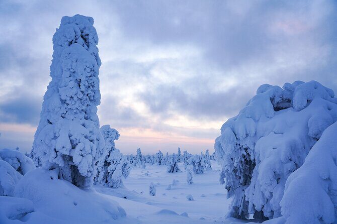Arctic Adventure through Magical Frozen Forests of Riisitunturi - Final Thoughts: Why This Tour Is Worth It