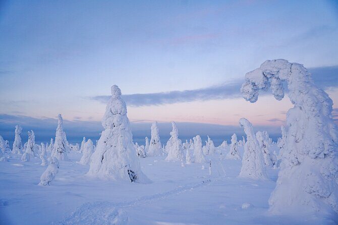 Arctic Adventure through Magical Frozen Forests of Riisitunturi - Frequently Asked Questions