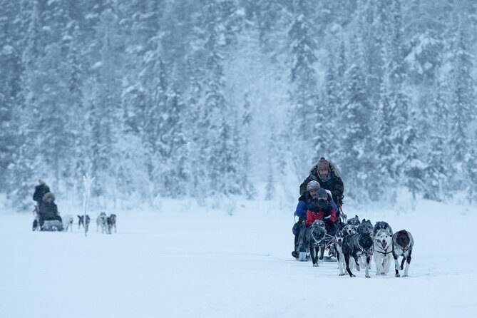 Arctic Afternoon Eco Experience (14:00-17:00- driving the sled) - Key Points