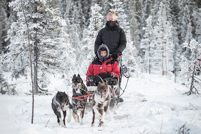 Arctic Afternoon Eco Experience (14:00-17:00- driving the sled) - FAQ