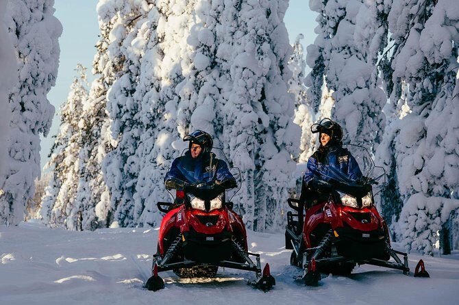 Arctic Circle Snowmobile Safari for Beginners in Rovaniemi - Who Will Love This Tour?