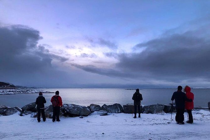 Arctic Coastal Walk - An In-Depth Look at the Arctic Coastal Walk
