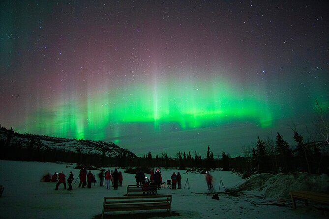 Arctic Day: Aurora Viewing Tour | late night - Frequently Asked Questions