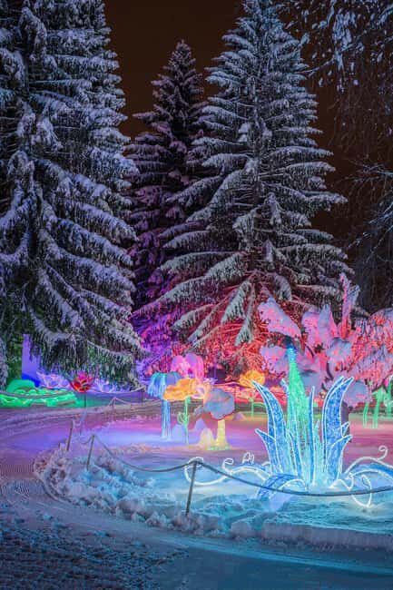 Arctic Fantasy Park Entry Ticket - Key Points