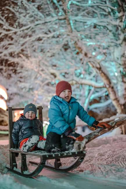 Arctic Fantasy Park Entry Ticket - A Closer Look at Arctic Fantasy Park