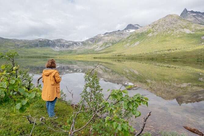 Arctic Fjord Roadtrip with Scenic Picnic from Tromso - Final Thoughts: Is It Worth It?