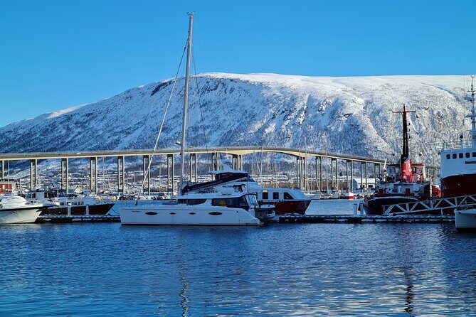 Arctic Fjordcruise & Safari in Tromso with Luxury Catamaran - Weather Considerations and Seasonal Tips