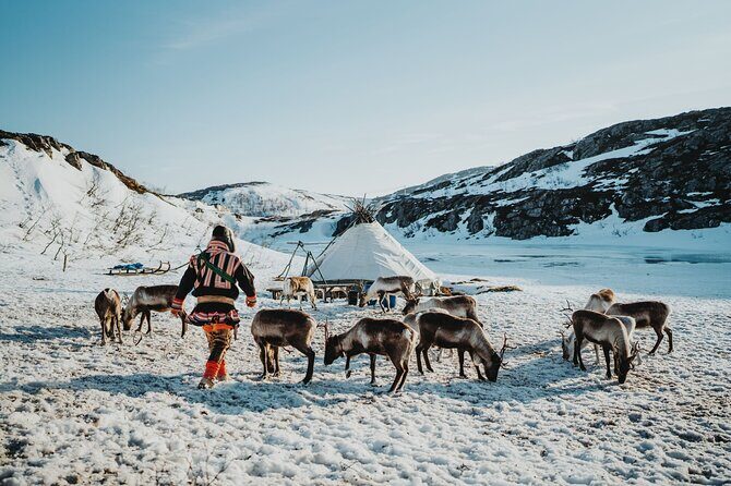 Arctic Fjords and Reindeer Experience  Small group tour - Key Points