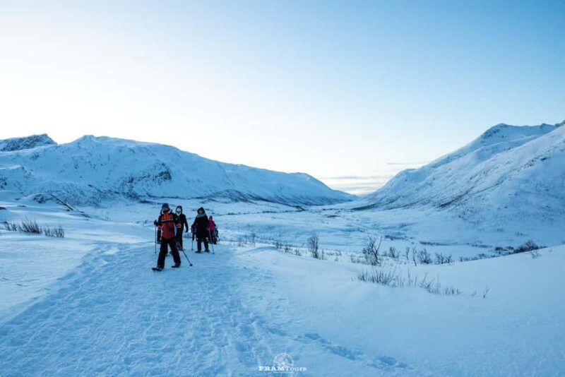 Arctic hike on Kvaløya Island with drinks and snacks - Key Points