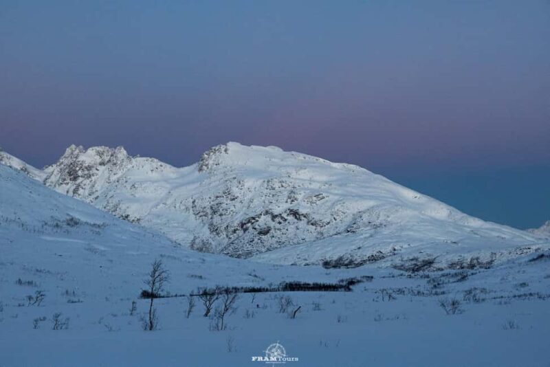 Arctic hike on Kvaløya Island with drinks and snacks - The itinerary: What to expect