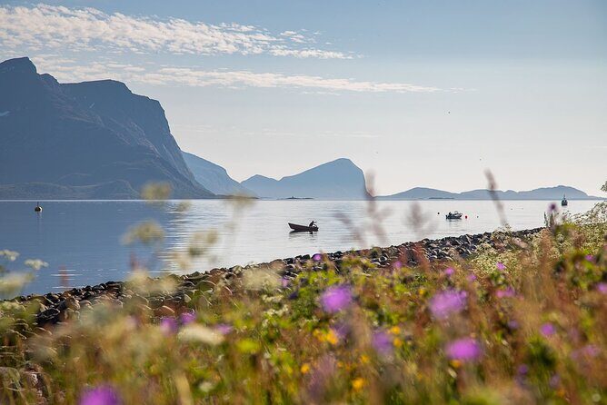 Arctic Landscapes Hiking, Sightseeing & Snowshoeing Private Tour - Transportation, Group Size, and Overall Value