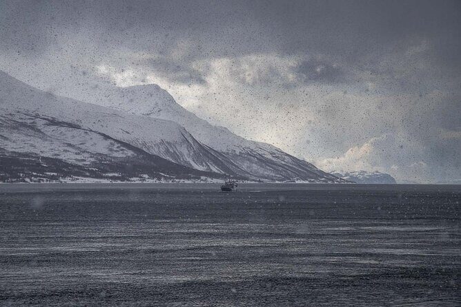 Arctic Landscapes Hiking, Sightseeing & Snowshoeing Private Tour - Final Thoughts: Is It Worth It?