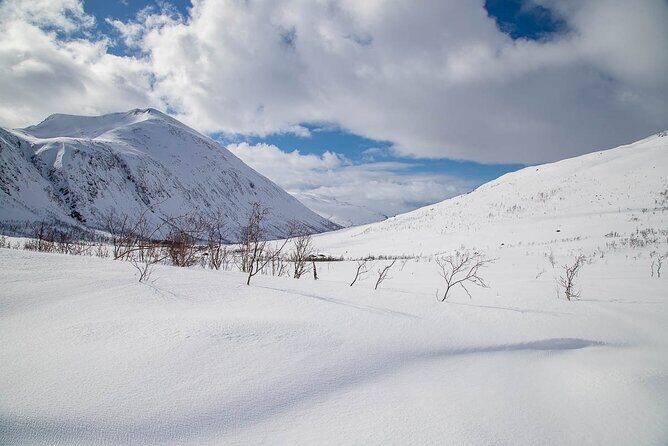 Arctic Landscapes Hiking, Sightseeing & Snowshoeing Private Tour - Frequently Asked Questions