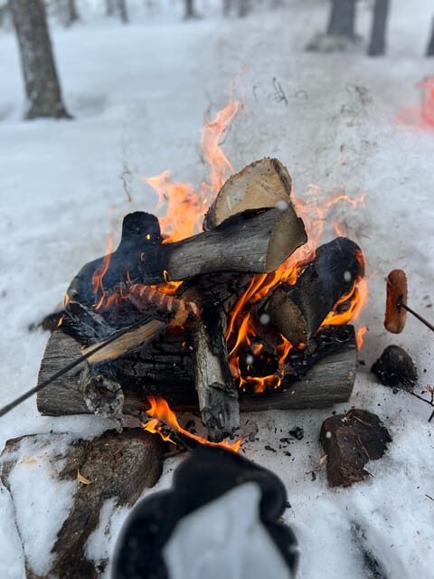 Arctic Reindeer Farm Experience with Snowshoeing in the Wild - Why This Tour Delivers More Than Just a Sightseeing Trip