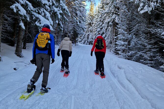 Arctic Snowshoe Hike in Norway - Who Should Book This Tour?