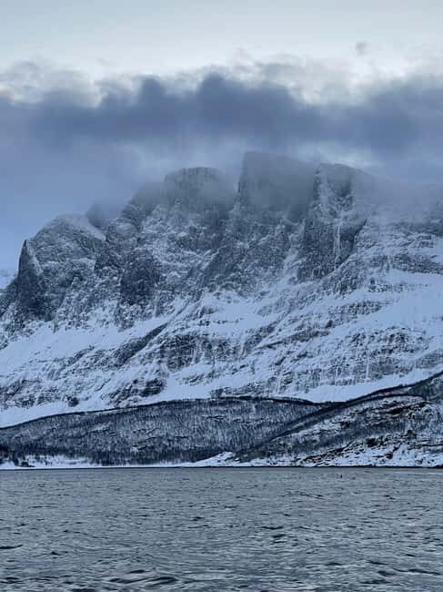 Arctic Whale Watching: Tromsø to Skjervøy in Comfort - FAQ